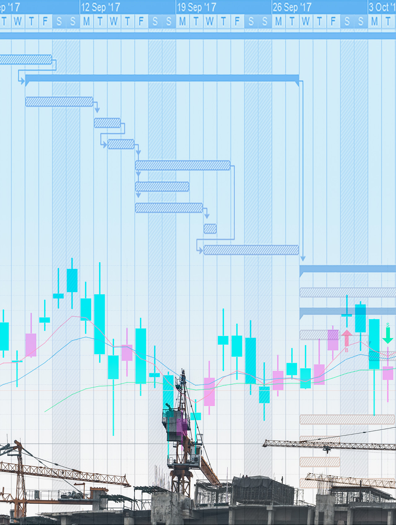 About Us - Trade and Development Bank